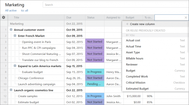 Personalize Wrike with New Custom Fields